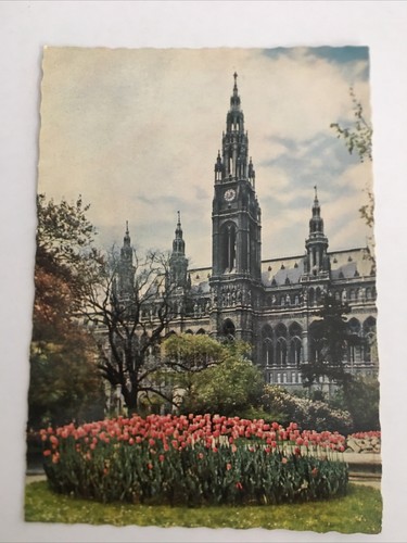 Wien Rathaus Vienna Austria Postcard | eBay