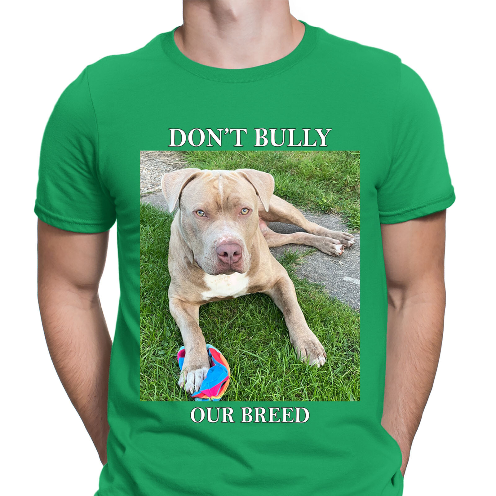 Personalised American Bully Dog T-Shirt Banned Pets Mens T shirts #UJG ...
