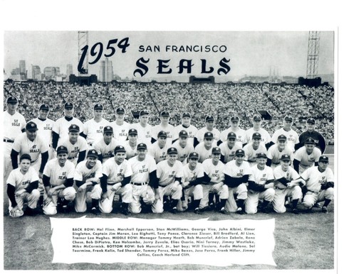 1954 SAN FRANCISCO SEALS PCL 8X10 PHOTO BASEBALL CALIFORNIA USA | eBay