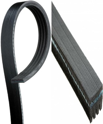 ACDelco 12576447 GM Original Equipment V-Ribbed Serpentine Belt | eBay