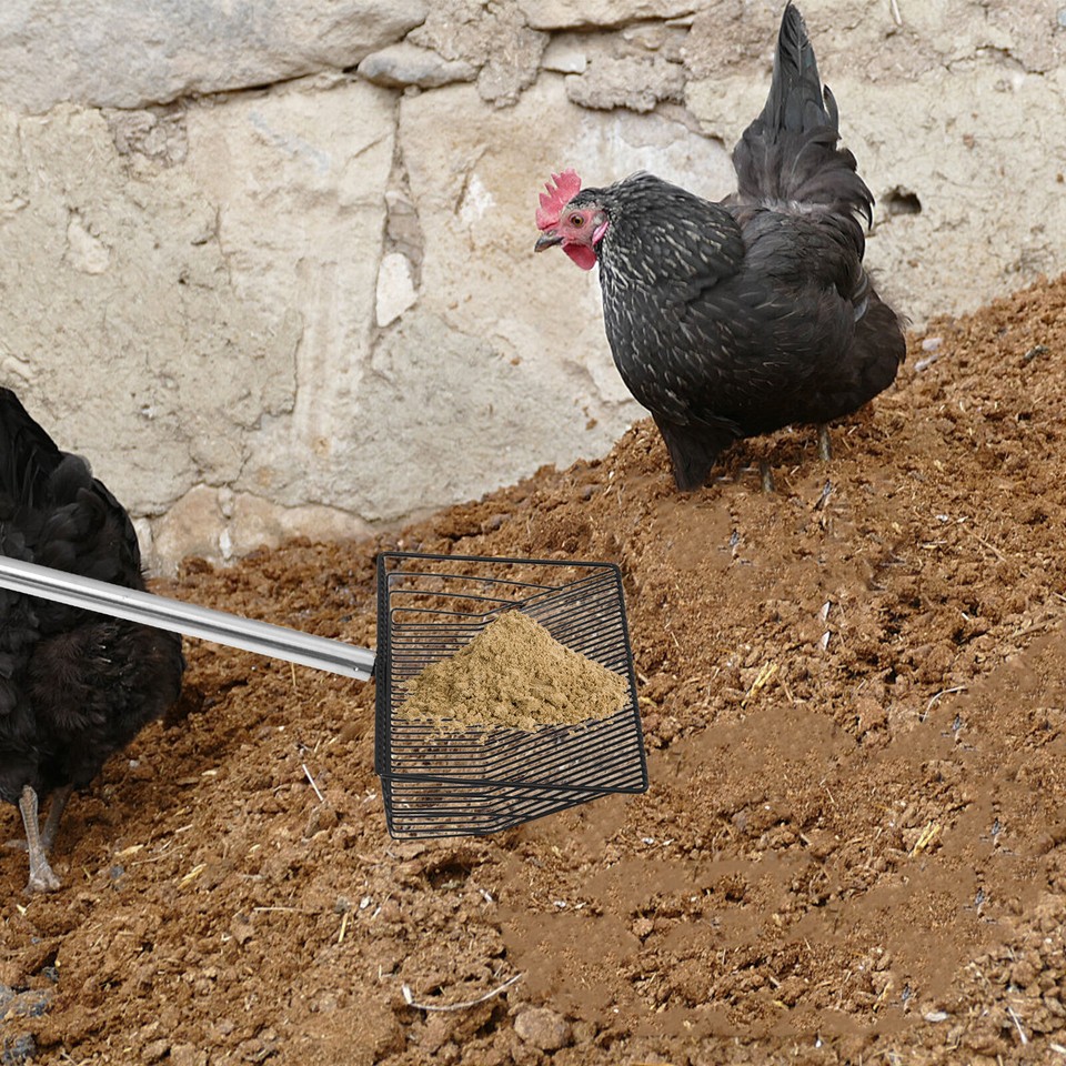 Chicken Coop Accessories 15 Inch Lage Chicken Poop Scoope With ...