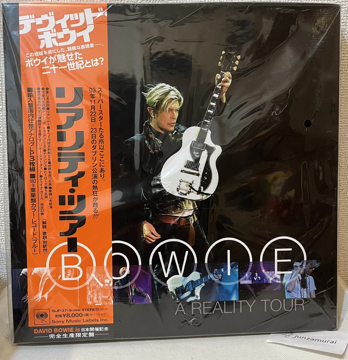 David Bowie Reality