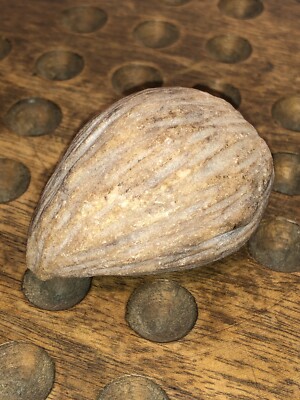 Rare Early Vintage Stone Marble Nut Italian Alabaster Nut Realistic ...