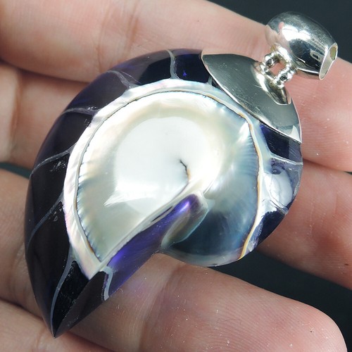 925 Sterling Silver Medium Large Purple Nautilus Shell Pendant ...