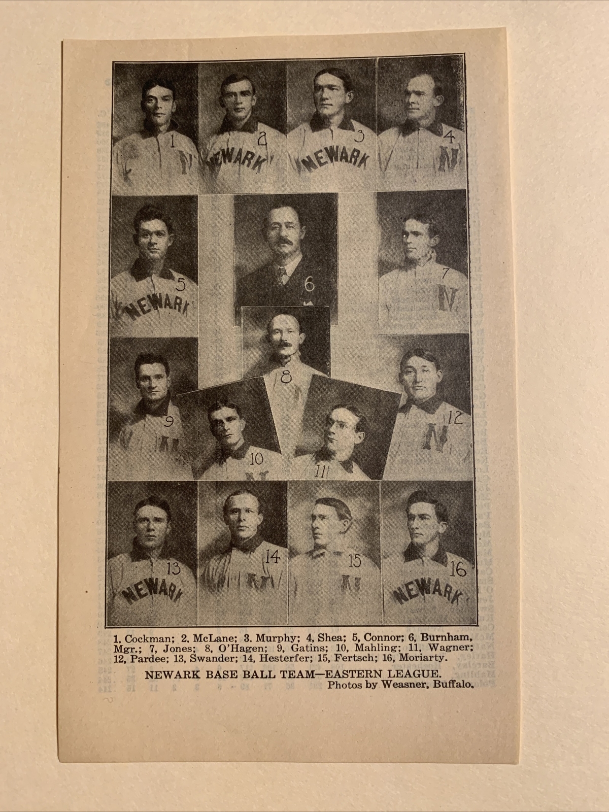 Newark Sailors Heinie Wagner Frank Murphy Nap Shea 1905 Baseball Team ...