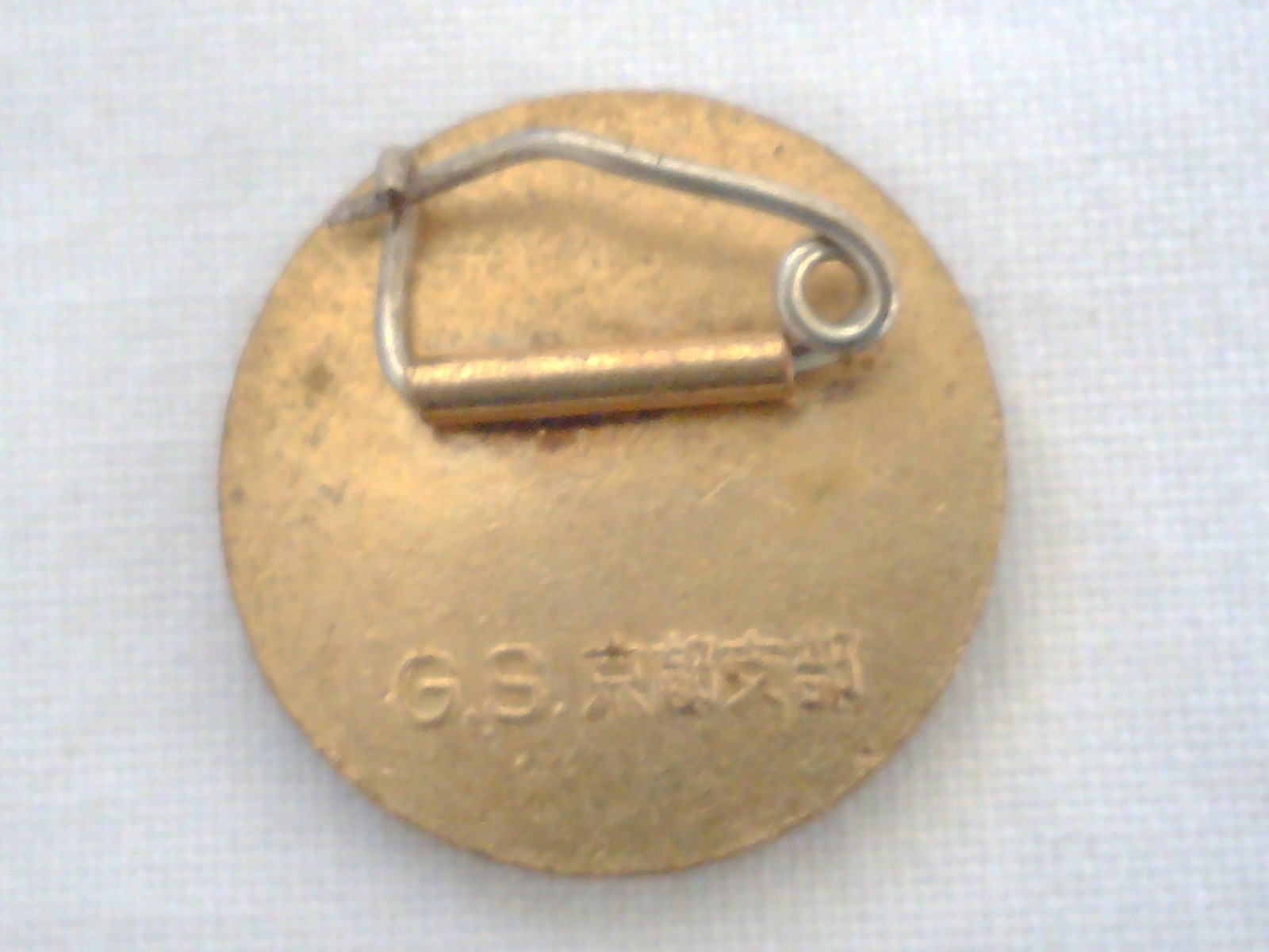 Collectable - N.S.E.W - Compass Style - Badge - Pin | eBay Australia
