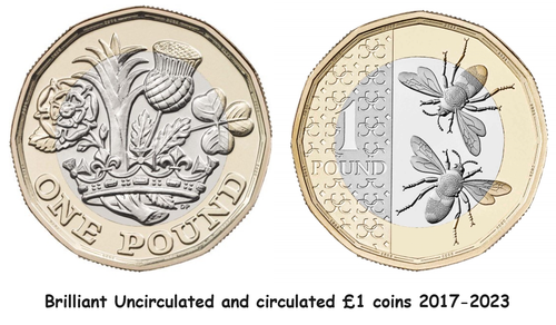 2017 - 2024 £1 One Pound Coin + New Bees coin Brilliant Uncirculated ...