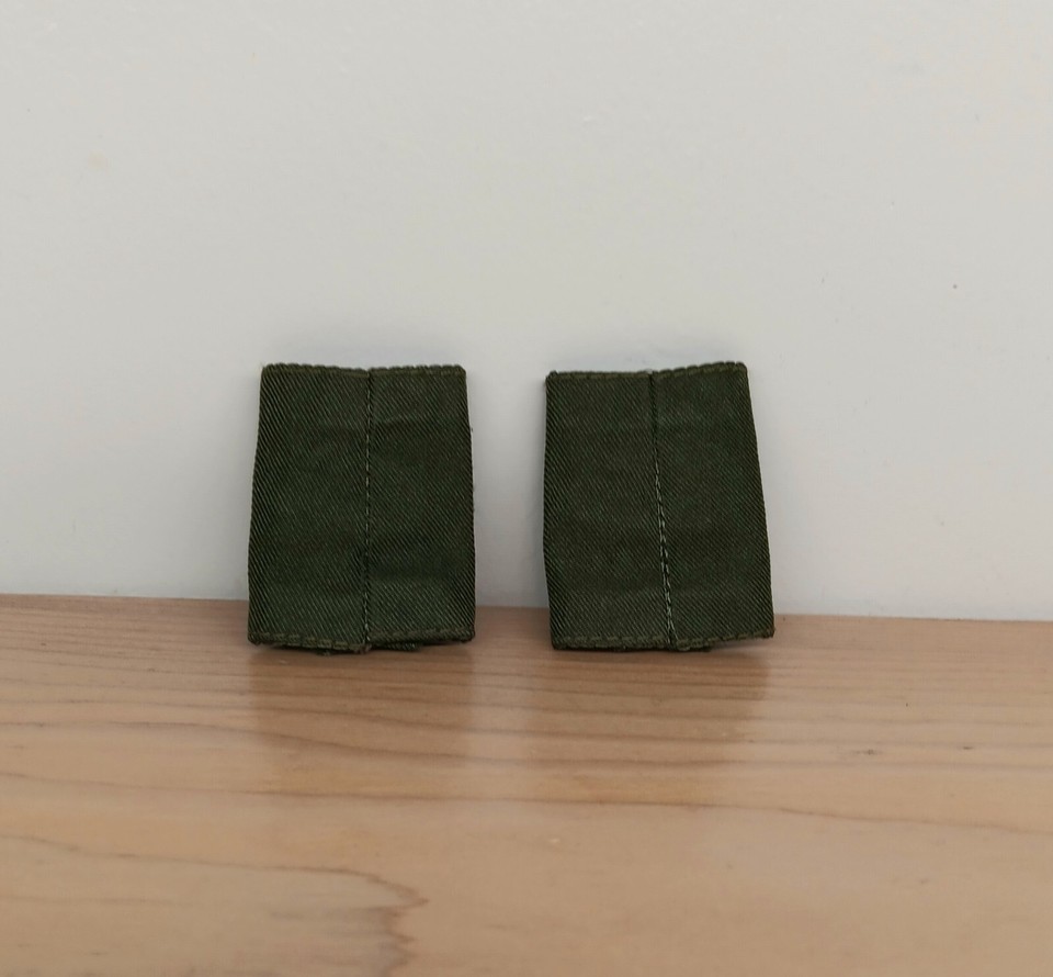 Trail Life USA Patrol Shoulder Loops Badge Badges Lion | eBay