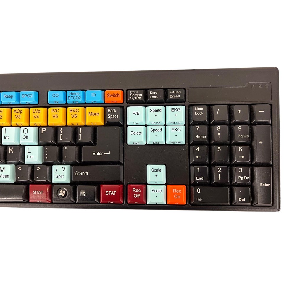 KEYTRONIC Color-Coded Workstation Keyboard KT400U5-PHI | eBay