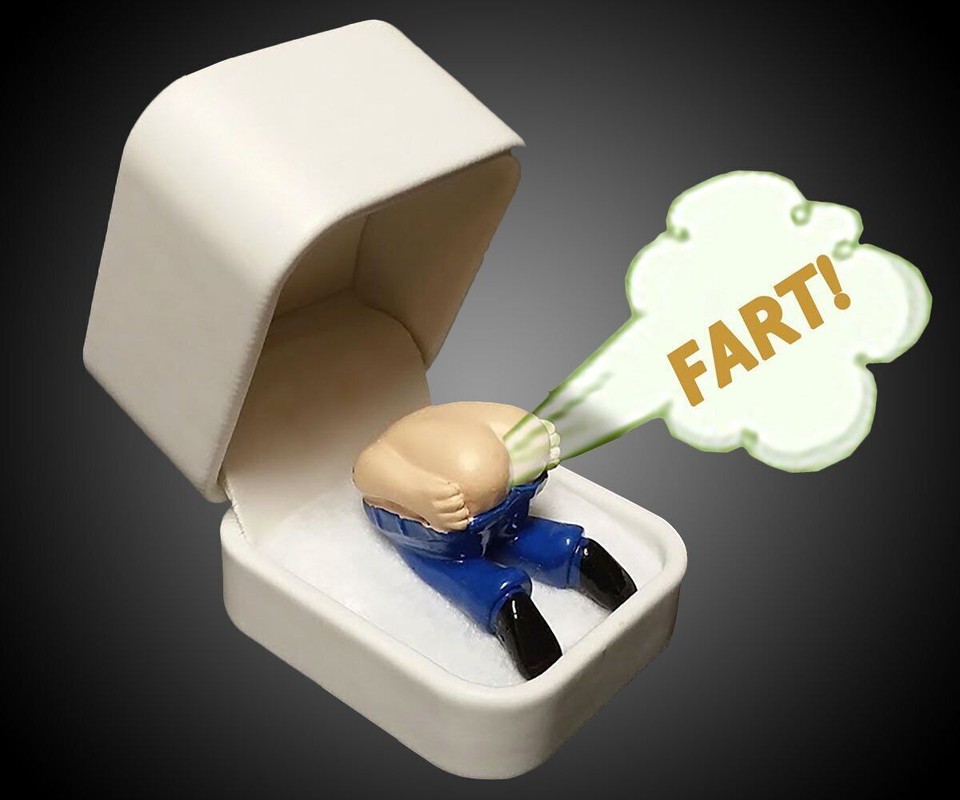 The Moon Ring (Farts When Opened!) ~ GaG Prank Joke Fart Machine Butt ...