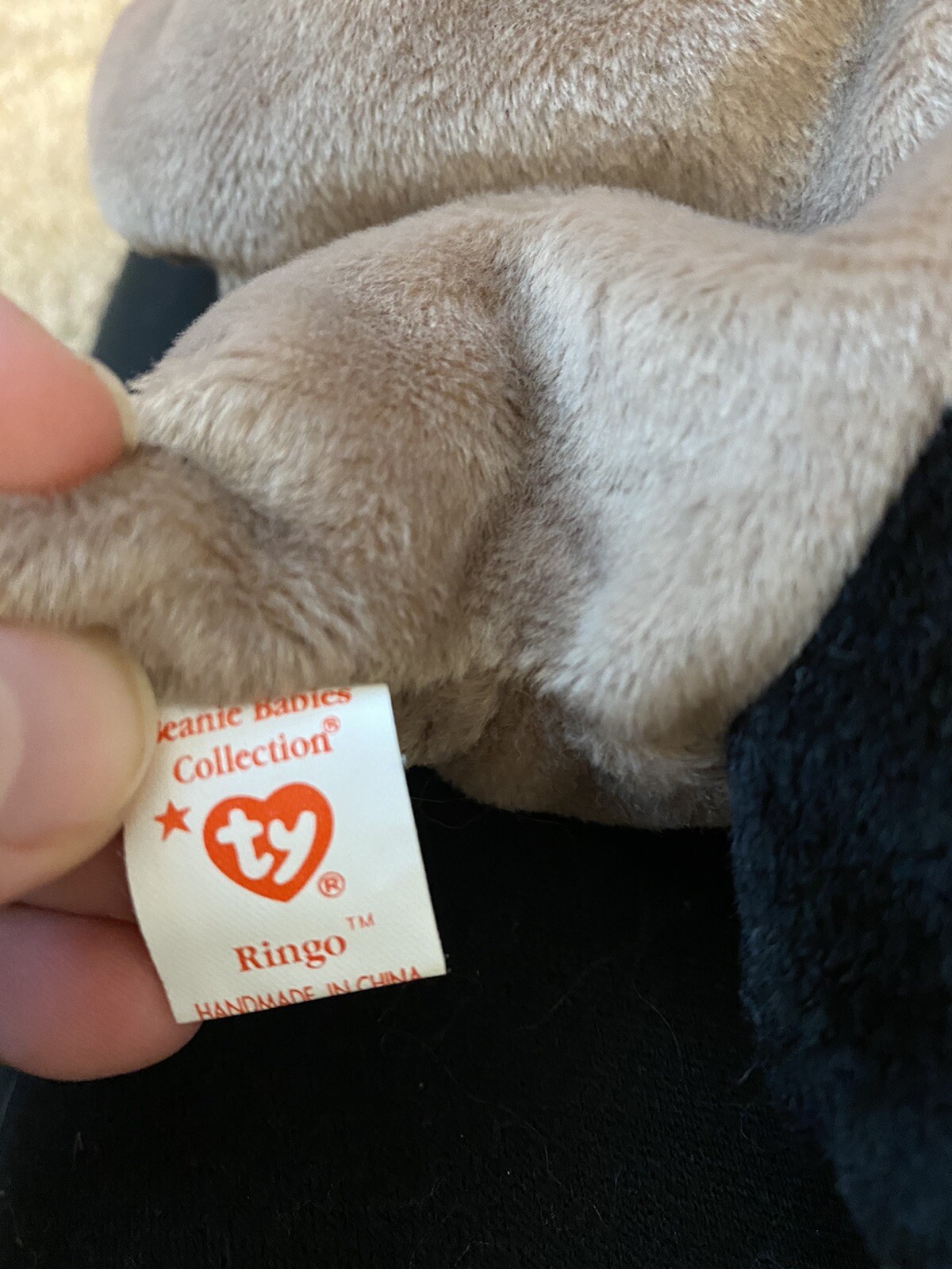 Ringo Raccoon Ty Beanie Baby Rare Bold Print 1995 | eBay