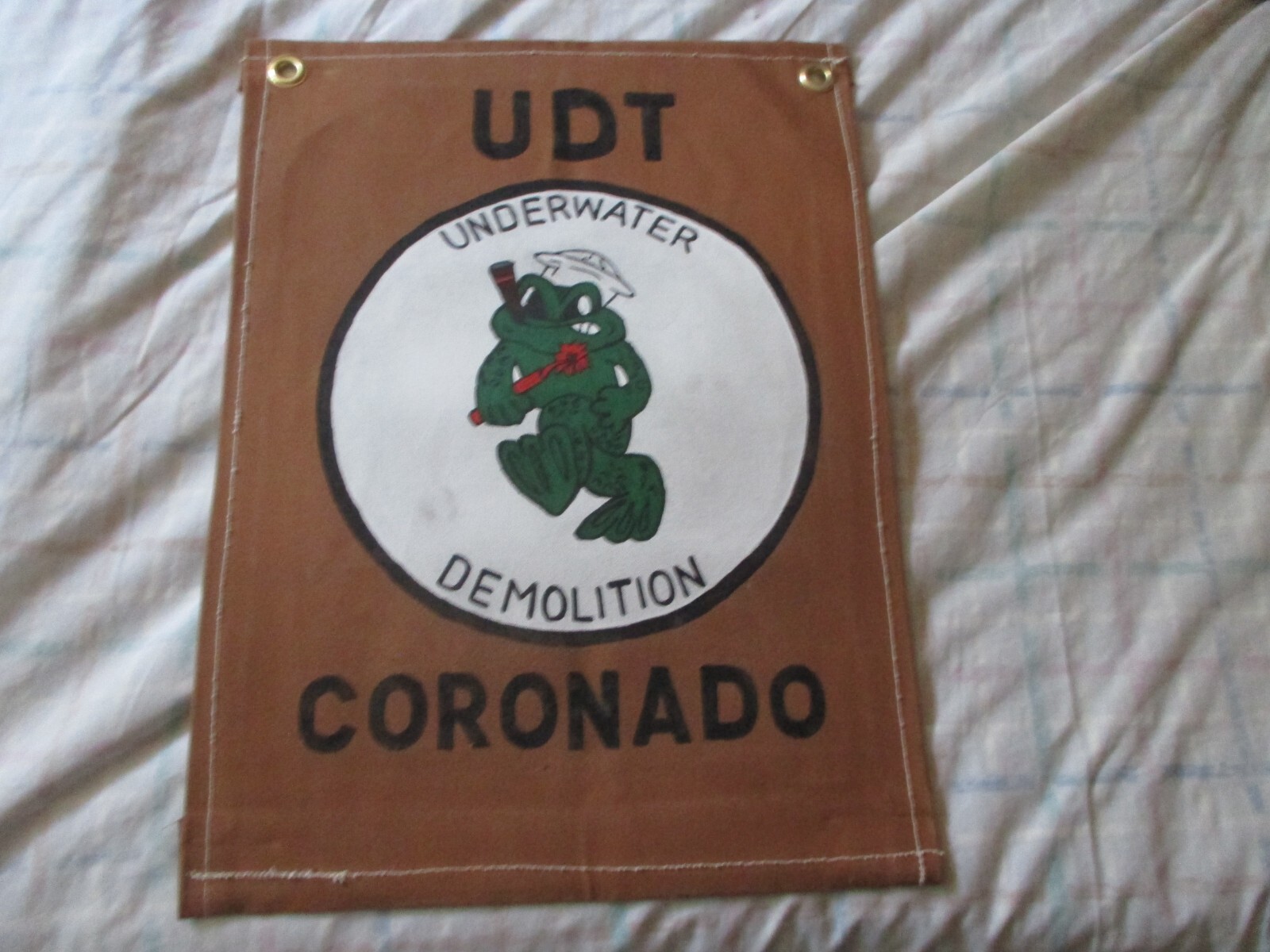 1960'S USN UDT CORONADO FREDDIE THE FROG BARRACK WALL FLAG | eBay