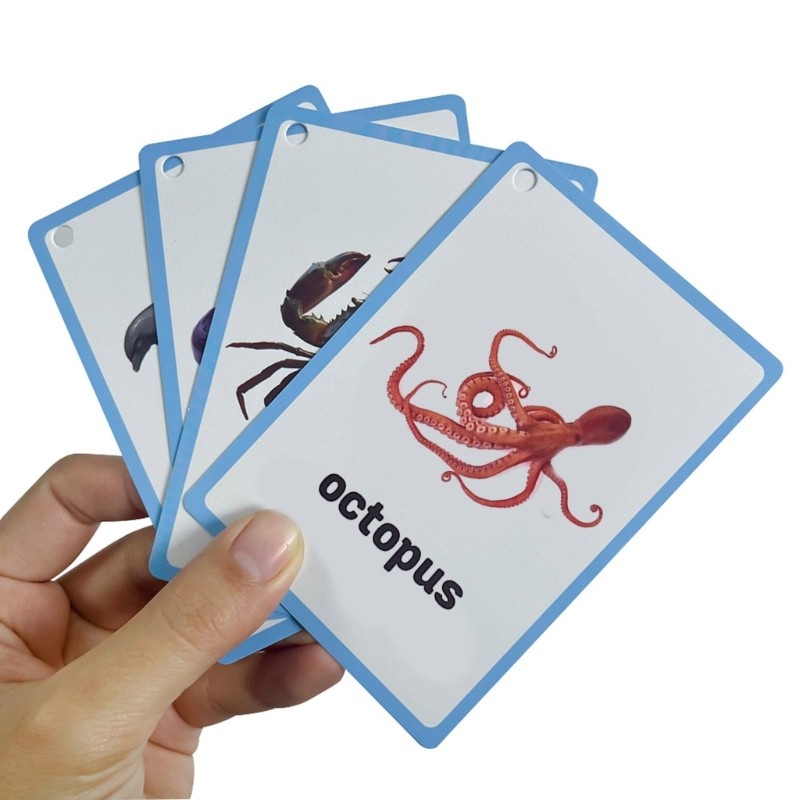 Marine Animal Flashcards 20Sheet Kid Early Learning Word Card for ...