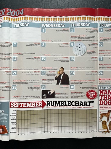 HUGE Authentic 81cm Retro FHM 2004 / 2005 Calendar Girl Foldout Door ...