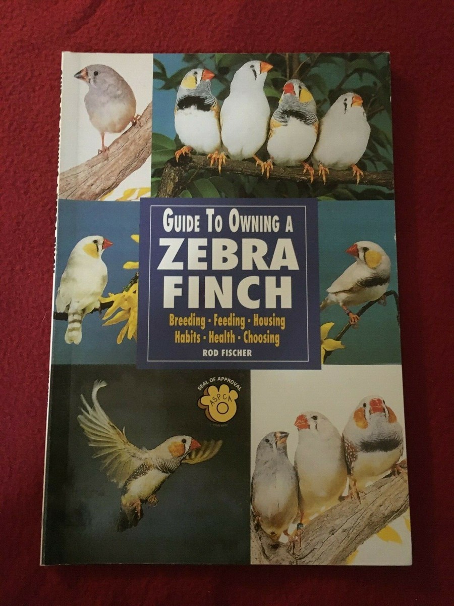 Zebra Finch Breeding Basics