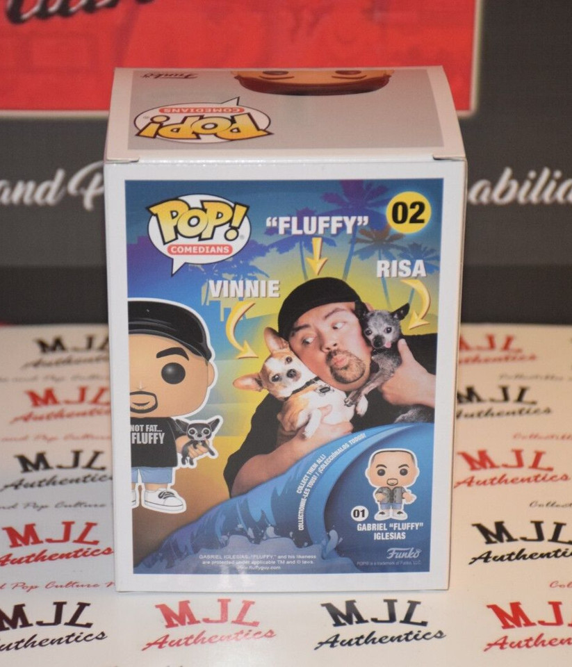 GABRIEL IGLESIAS FLUFFY SIGNED ENCASED FUNKO POP #02 PSA/DNA MINT 9 ...