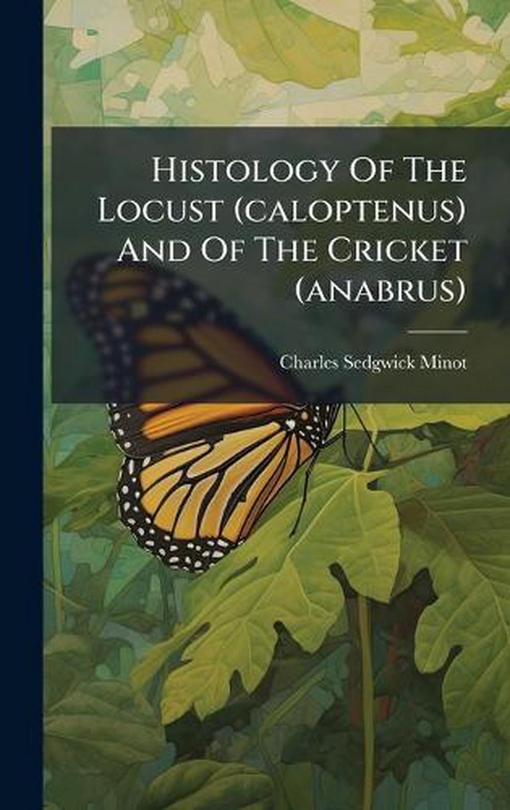 Histology Of The Locust (caloptenus) And Of The Cricket (anabrus) by ...