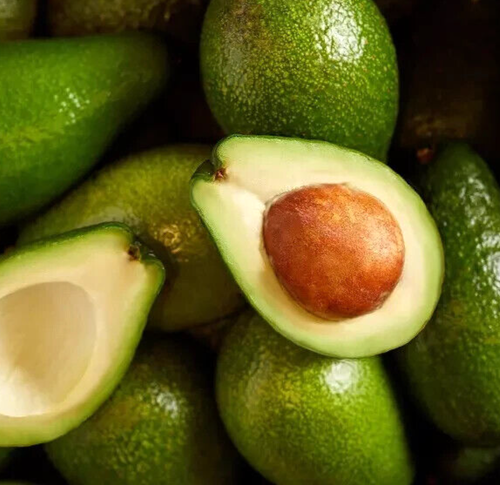 Organic Natural Dried Avocado Leaves (hojas de Aguacate) Dried Whole ...