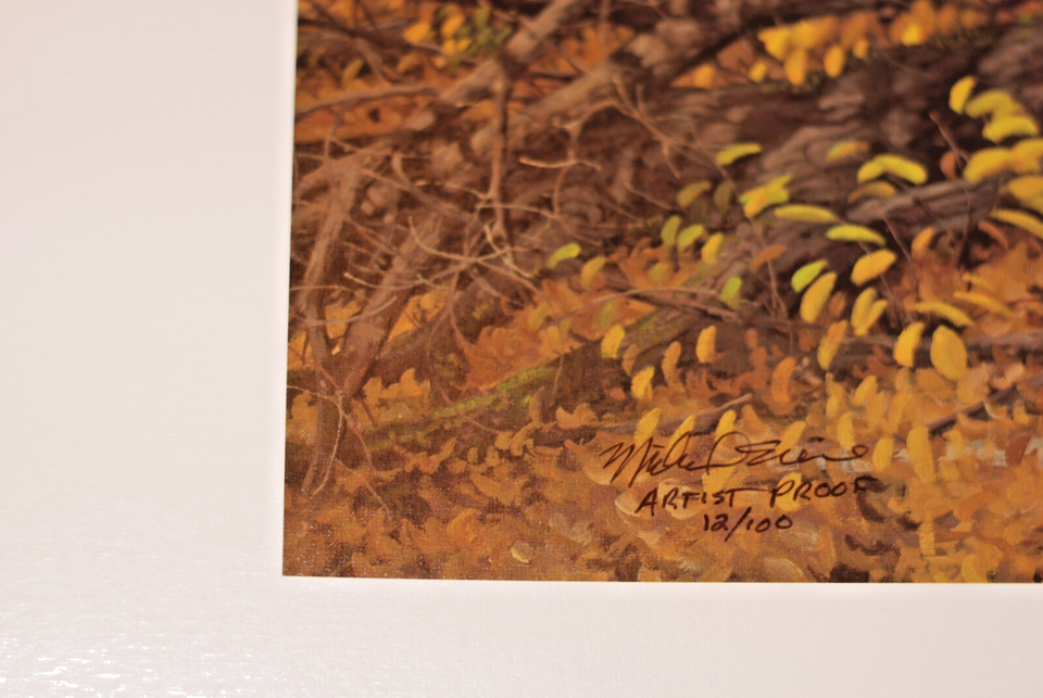 Maple Rush - Whitetail Deer Print by Michael Sieve - Artist Proof #12/ ...