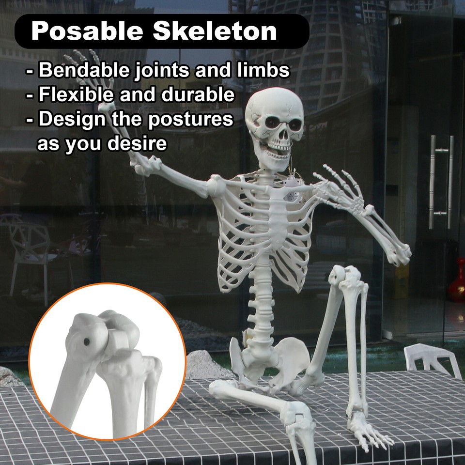 Halloween Horror Skeleton Model Life Size Human Skeleton Party Prop ...