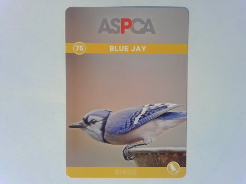 Blue Jay Bird #75 2016 ASPCA Pets & Creatures Trading Cards LB5 | eBay