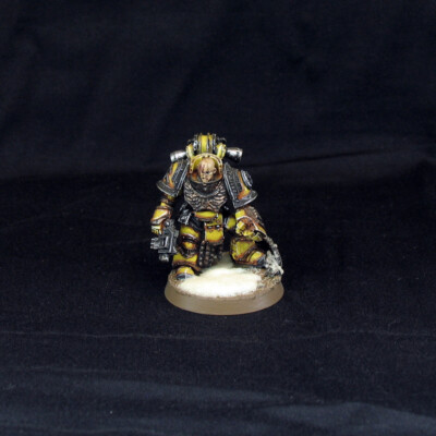 Pro painted Warhammer 30k/40k Horus Heresy Imperial Fists Legion ...