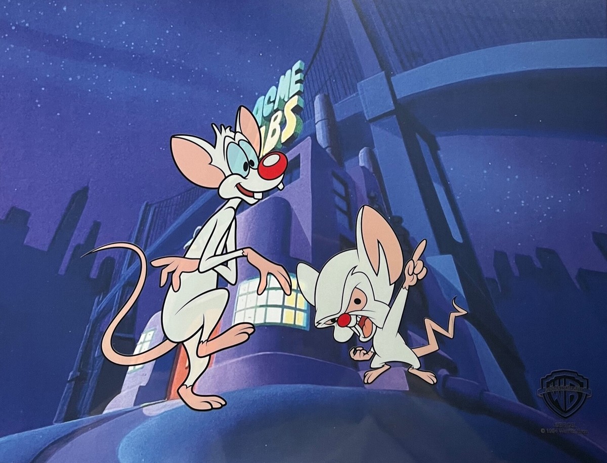 Pinky And The Brain Logo