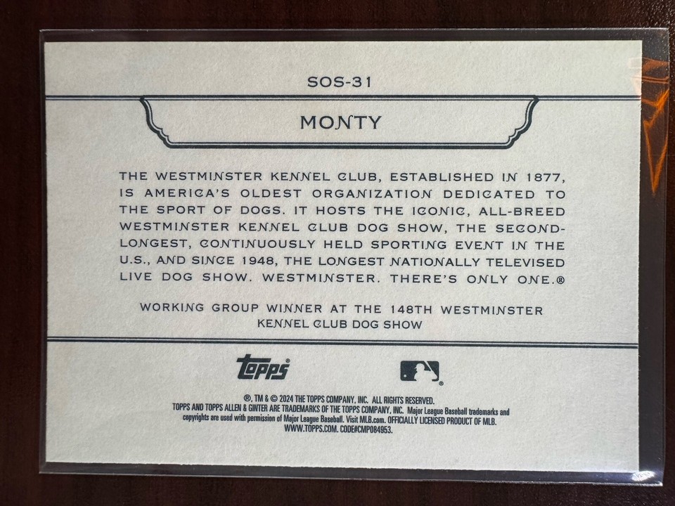 2024 Topps Allen & Ginter #SOS-31 Monty | eBay