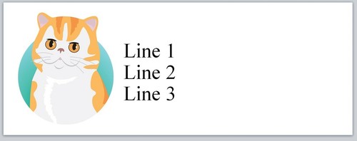 Personalized Address Labels Cute tabby Cat (JX 397) | eBay