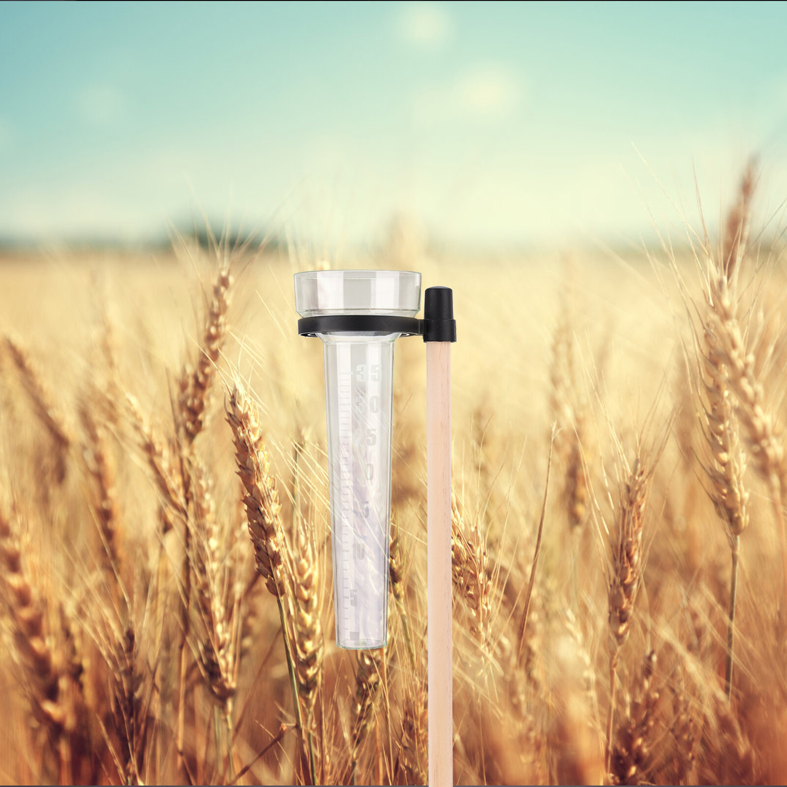Rain Gauge Capacity Rainwater Rainfall Guage Garden Stick+Measuring Cup ...