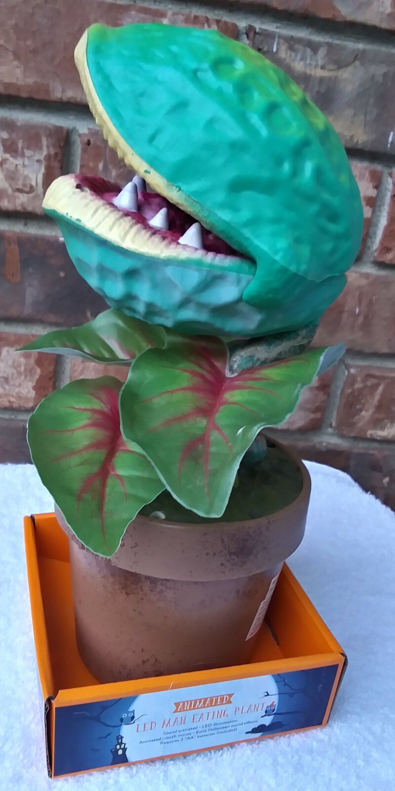 Real Man Eating Plant