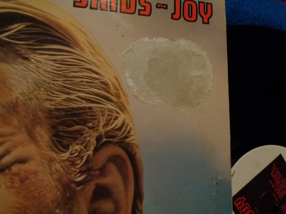 SKIDS JOY LP RECORD | eBay