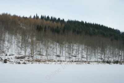 Photo 6x4 Caputh Hill 2 c2009 | eBay UK