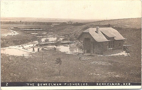 Benkelman Nebraska RPPC Benkelman Fisheries early 1900s | eBay