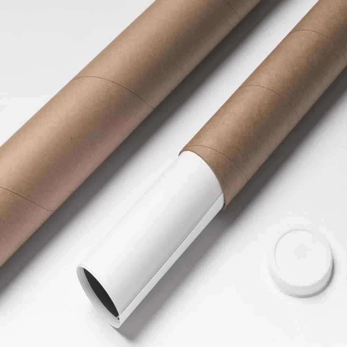 Phoneboy Moving Out Tour 2024 With The Backfires February 2024 Poster ...