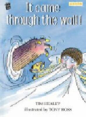 It Came Through the Wall - Paperback By Tim Healey - GOOD 9781572552135 ...