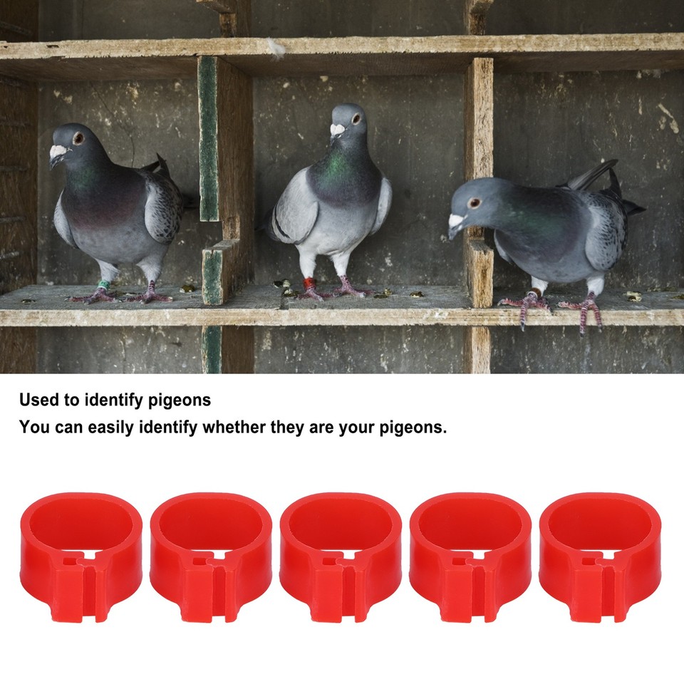 200Pcs Red Poultry Leg Clip Pigeons Identify No Word Marking Training ...