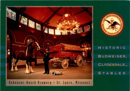 Budweiser, Anheuser-Busch Inc., St. Louis, Missouri, Anhe Postcard | eBay