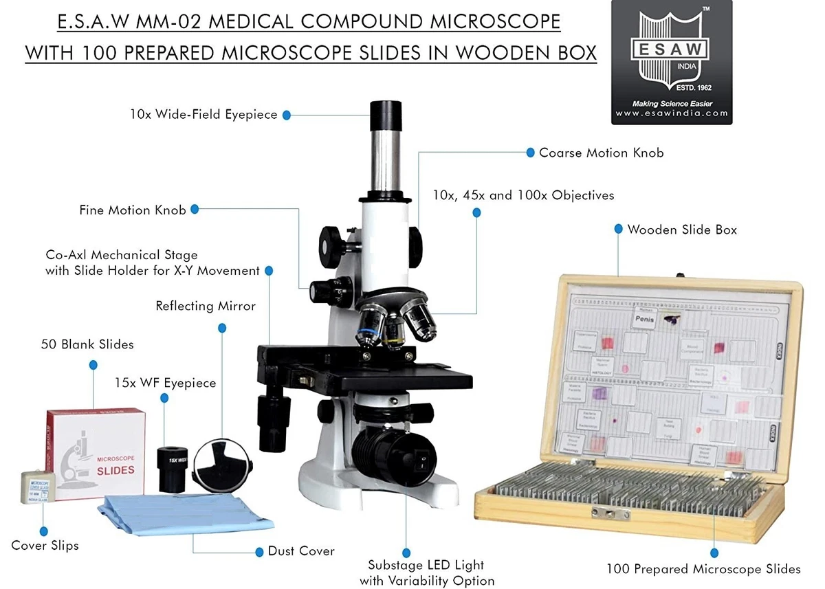 Compound Microscope Slides
