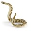 PAPO Wild Animal Kingdom Rattlesnake Toy Figure, Multi-colour (50237 ...