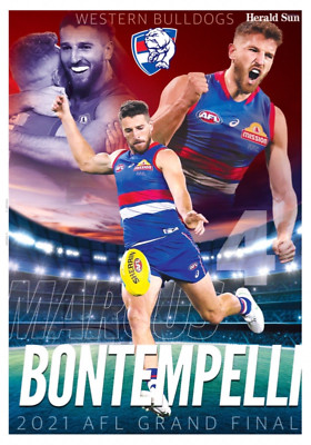 LAMINATED Western bulldogs team player POSTER,AFL FOOTBALL,Premiers ...