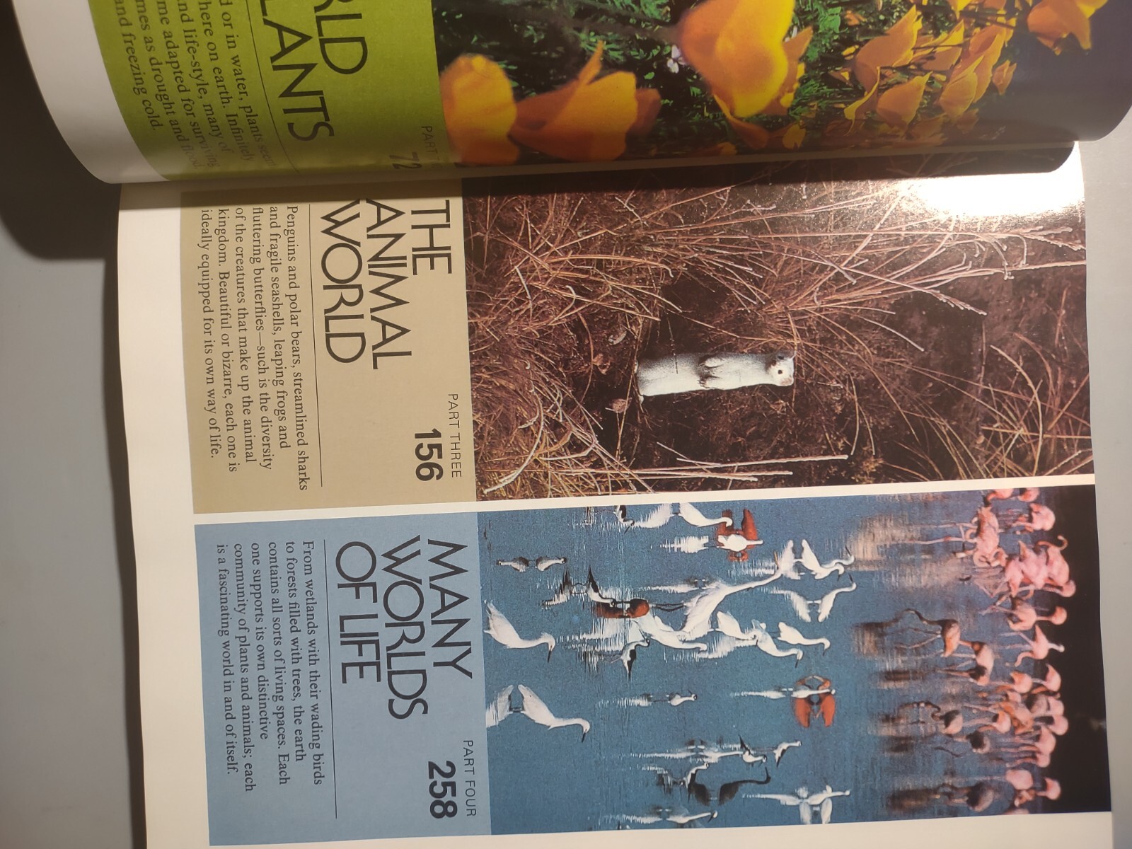 ABCs of Nature A Family Answer Book by Reader's Digest 1985 5824 | eBay