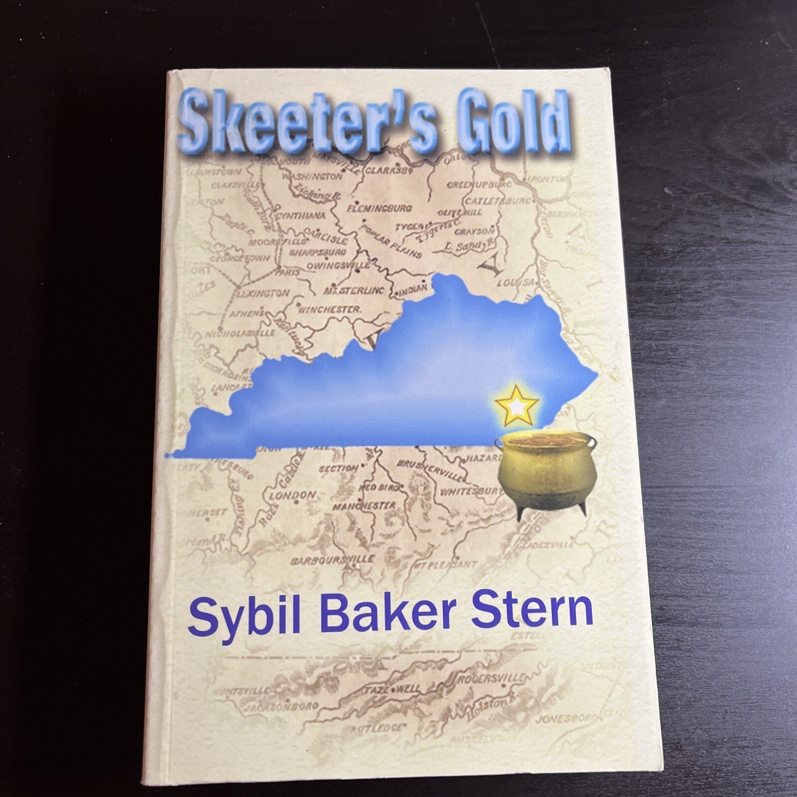 Skeeter's Gold by Sybil Baker Stern (2007, Trade Paperback) 9781419676772| eBay