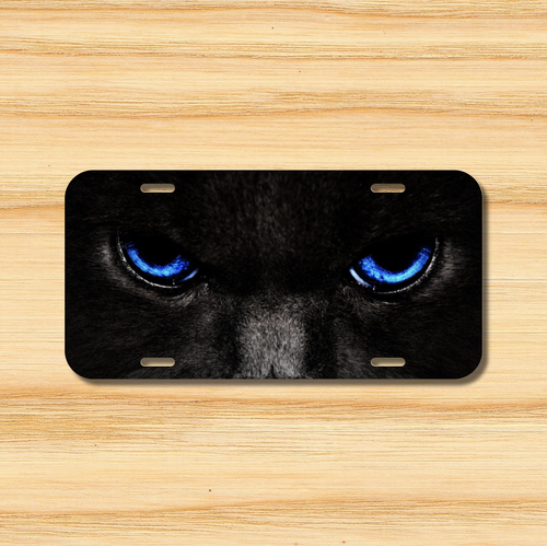 Cat Eyes License Plate Front Vehicle Auto Tag Kitten Kitty Gato FREE ...