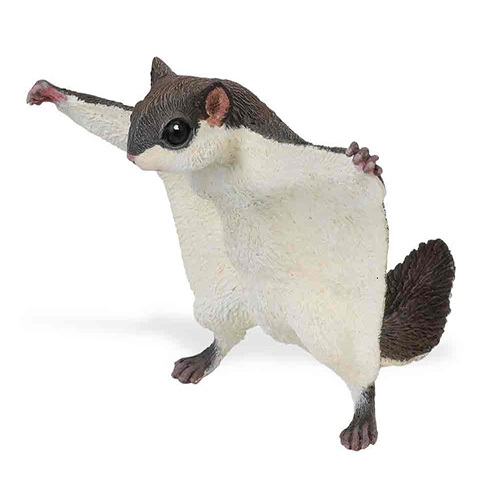 Flying Squirrel