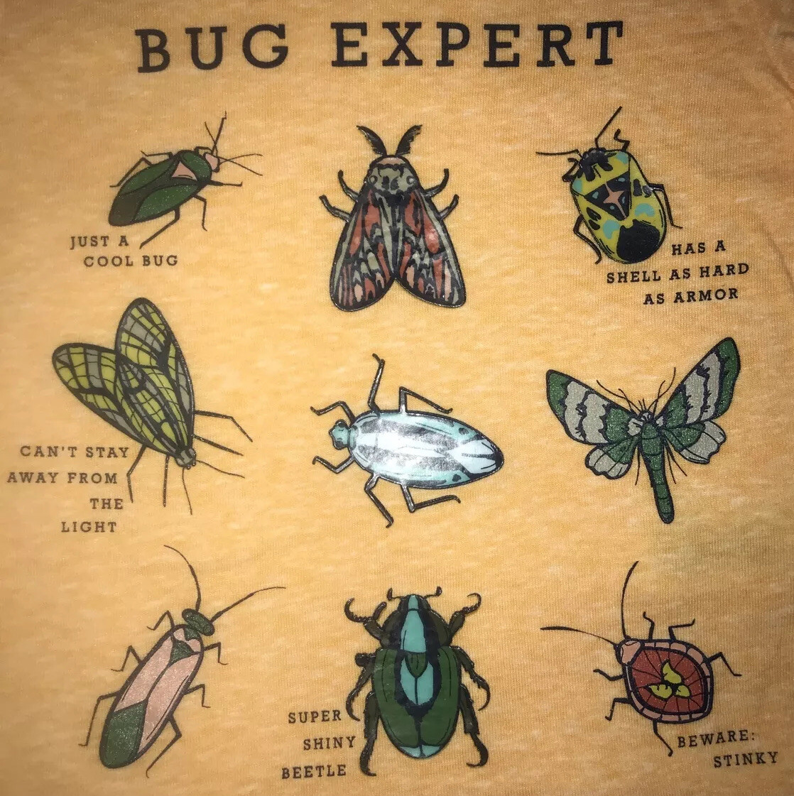 Orange Hard Shell Bug Harlequin Bug Prevention And Control