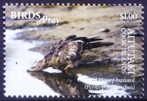 Aitutaki Cook Islands 2018 MNH, Oriental Honey-buzzard, Birds of prey ...