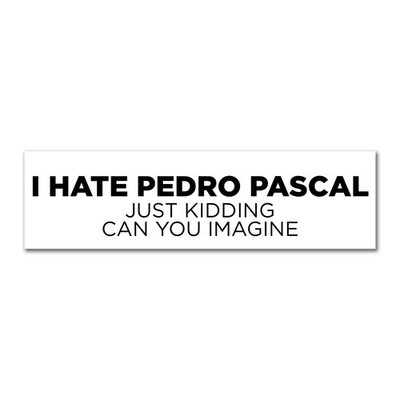 PEDRO PASCAL Funny Bumper Sticker Slap 9" Weatherproof Car Decal | eBay
