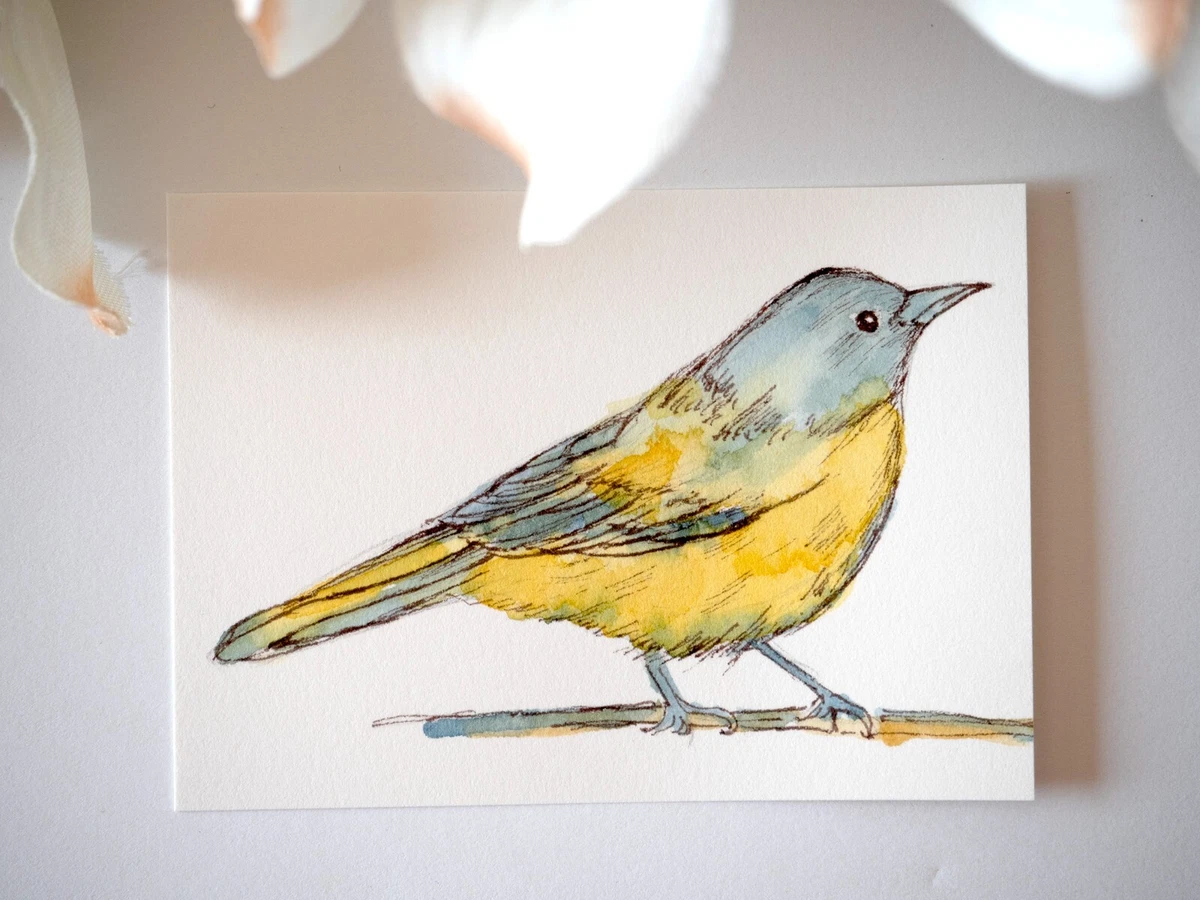 Watercolor And Ink Bird