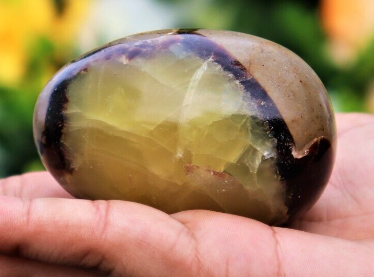 70MM Yellow Septarian Egg Septaria Septeyre Chakra Crystal Healing ...